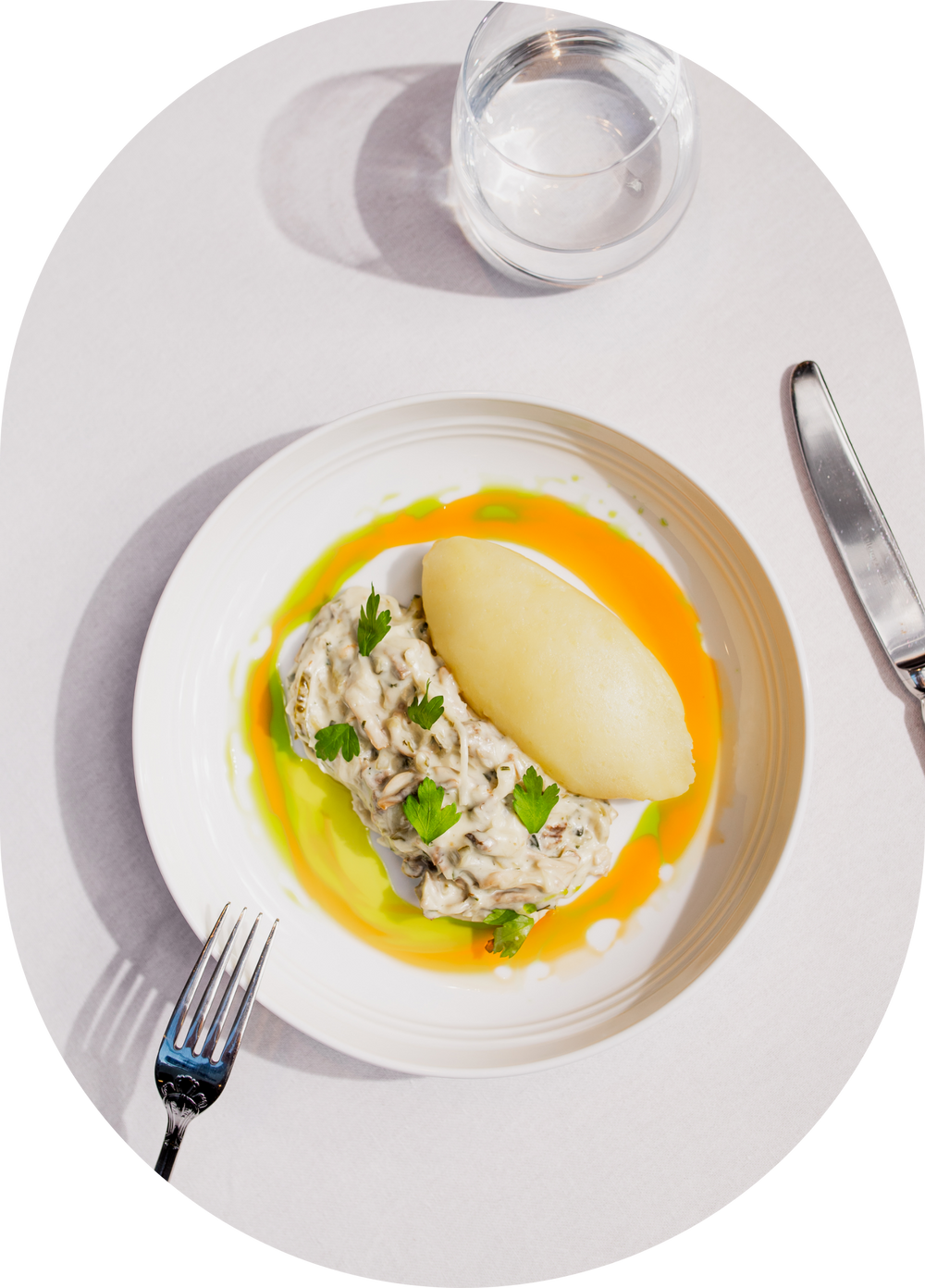 NOVA CHEF nova-chef